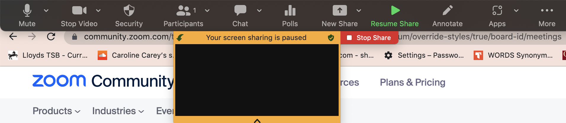 Trying to screen share but says my screen sharing ... - Zoom Community