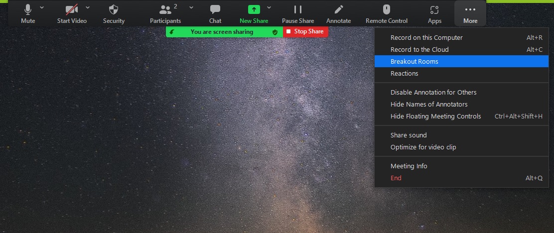 can't find the 'show/hide video panel' option on t... - Zoom Community
